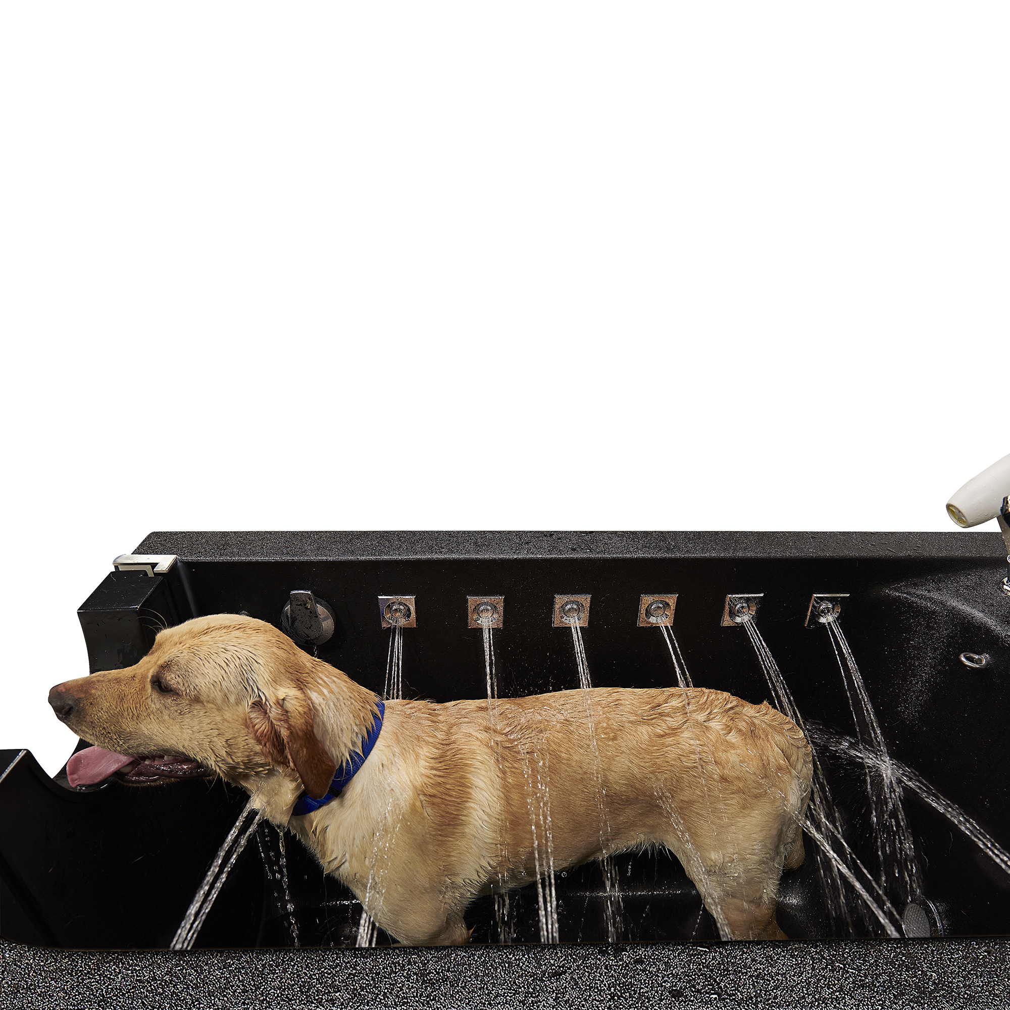 Dog-Pet Spa – Lifespring Walk-in Tubs